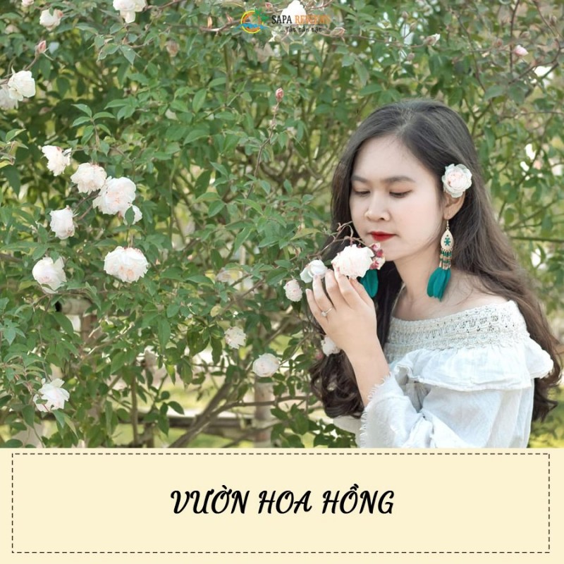 BÍ KÍP KHÁM PHÁ SAPA TIẾT KIỆM DÀNH CHO SINH VIÊN